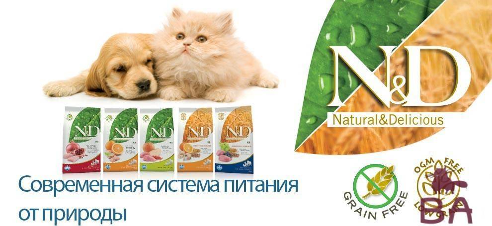 Корм Фармина (Farmina) для кошек | состав, цена, отзывы